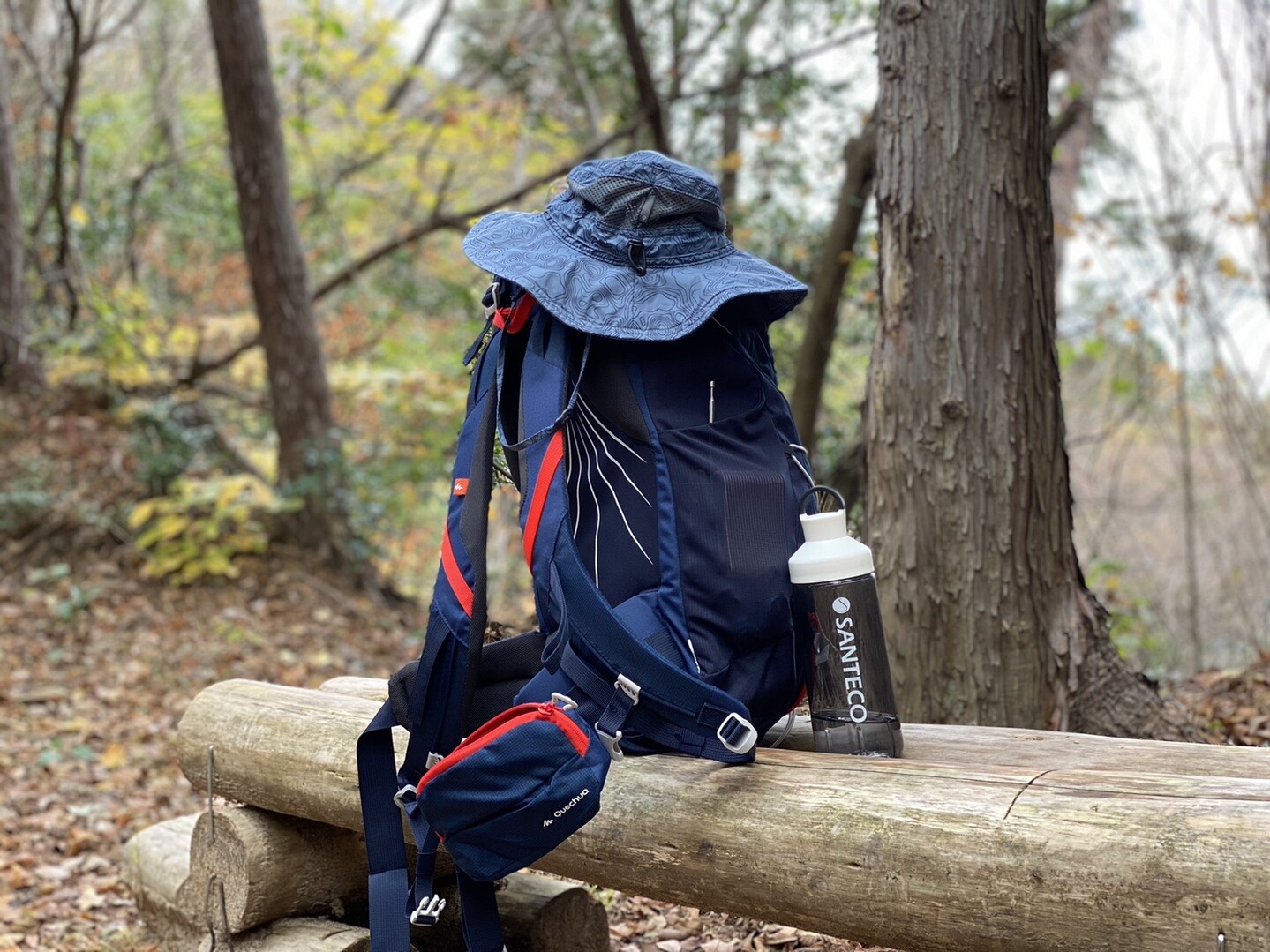 猿投山 / Peronchoさんの猿投山・物見山の活動データ | YAMAP / ヤマップ