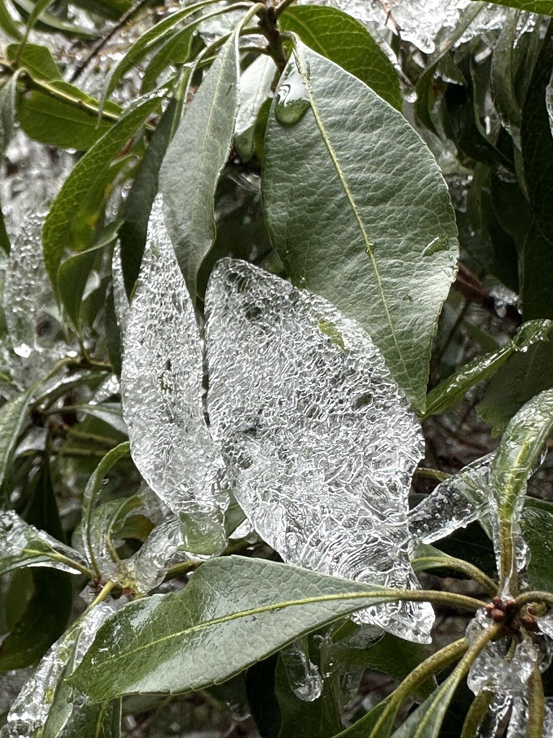 白木山 / junjunさんの白木山・高松山・鬼ヶ城山の活動データ | YAMAP / ヤマップ