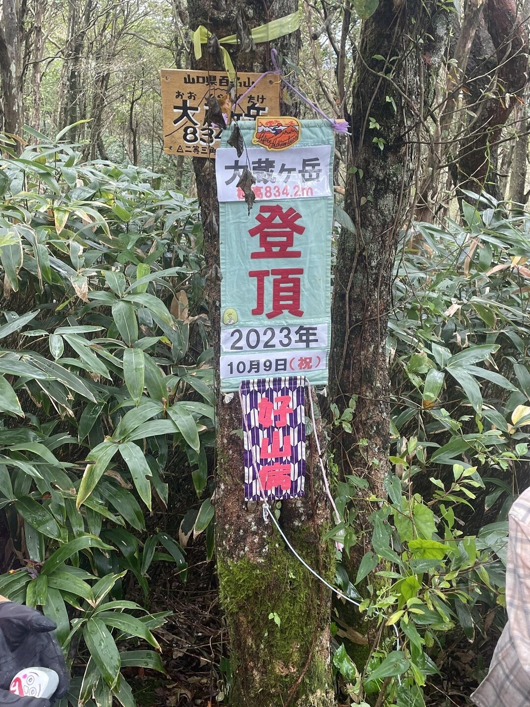 大蔵ヶ岳 / JBT会員番号5さんの大蔵ヶ岳の活動データ | YAMAP / ヤマップ