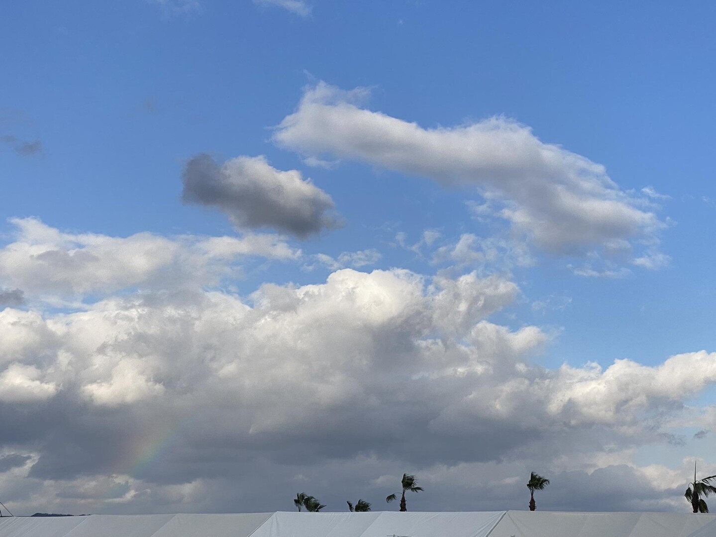 ピースストック終わった。 空き時間に献血... / - ̗̀ ☺︎ ̖́-Sen_sun- ̗̀ ☺︎ ̖́-さんのモーメント | YAMAP / ヤマップ
