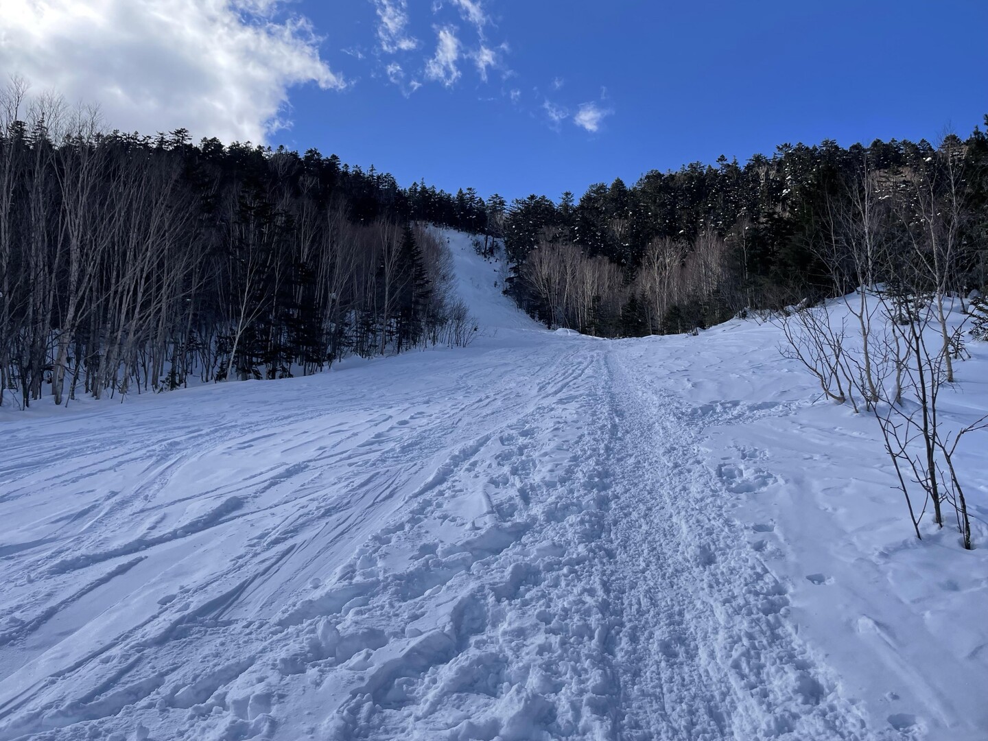 Speed touring(肩ノ小屋付近迄ピストン+α) / ぼむぼむぷりんturboさんの乗鞍岳の活動データ | YAMAP / ヤマップ