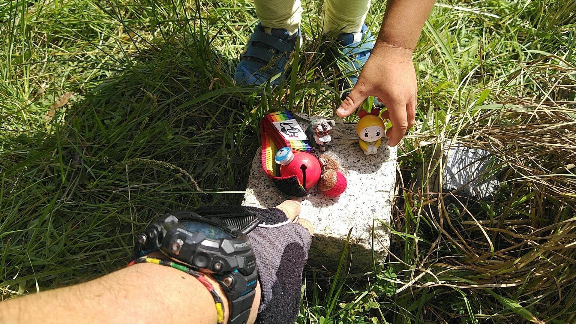 定番のスキマ時間で裏山散歩👣 / りょう1970さんの龍王山・八木山の活動データ | YAMAP / ヤマップ