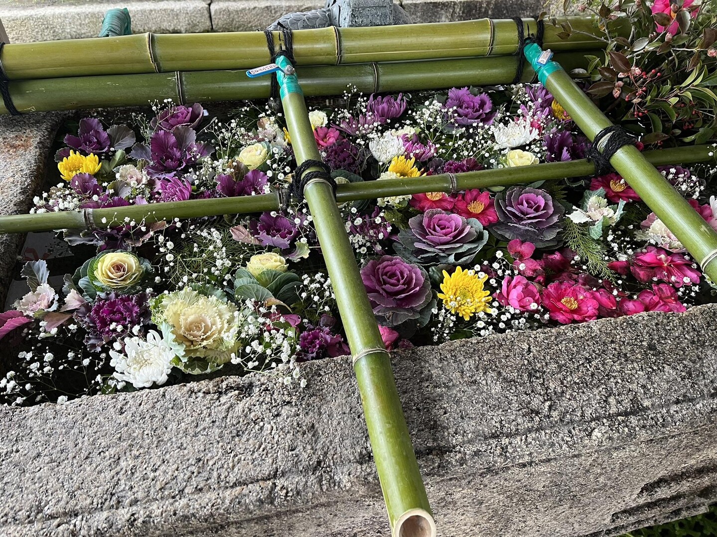 望西峰・鶴翼山（八幡山） / kazunさんの八幡山（鶴翼山）の活動データ | YAMAP / ヤマップ