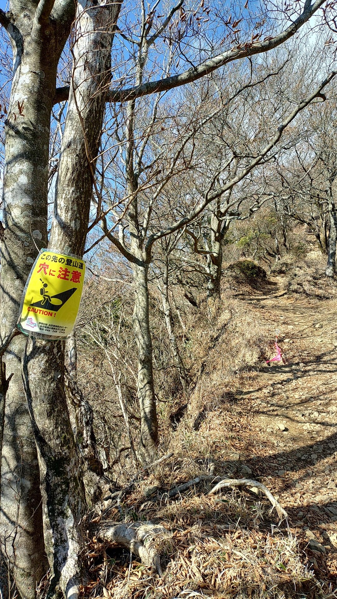 samiさんの投稿したフィールドメモ | YAMAP / ヤマップ