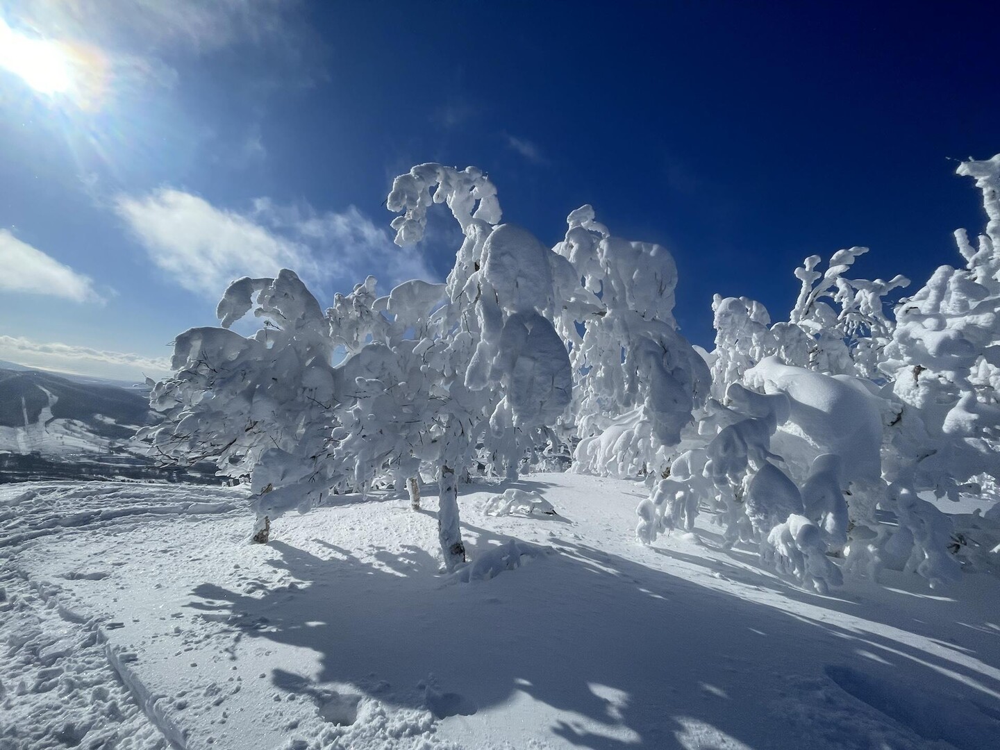 尻別岳リベンジ🏔️ / me〜さんの尻別岳の活動データ | YAMAP / ヤマップ