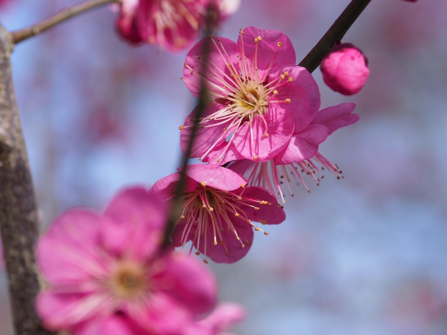 2/4〜5で諸用で三重に行ってきました。... / こだまさんのモーメント | YAMAP / ヤマップ