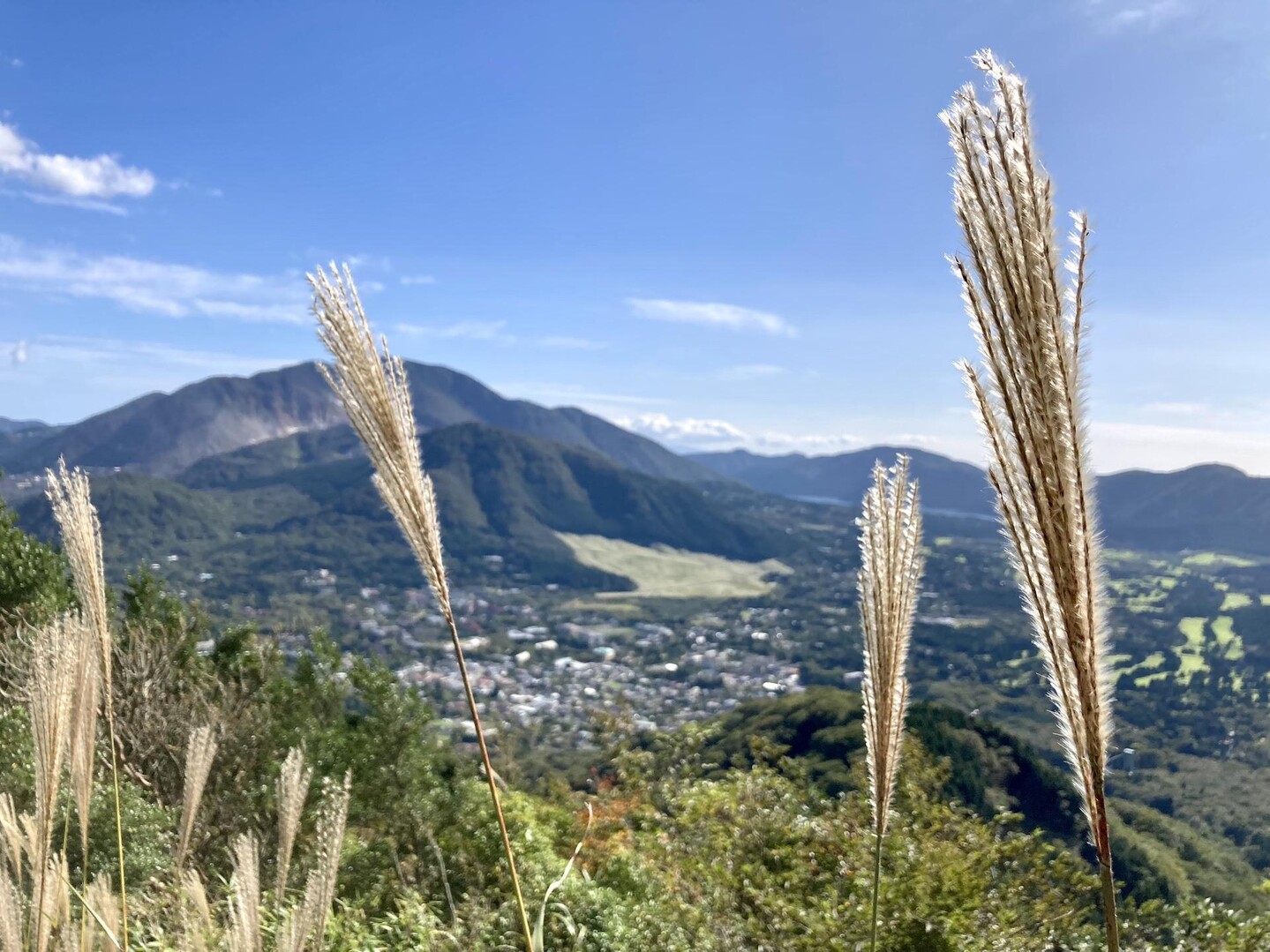 金時山(12)乙女口から / miiさんの金時山・明神ヶ岳の活動データ | YAMAP / ヤマップ