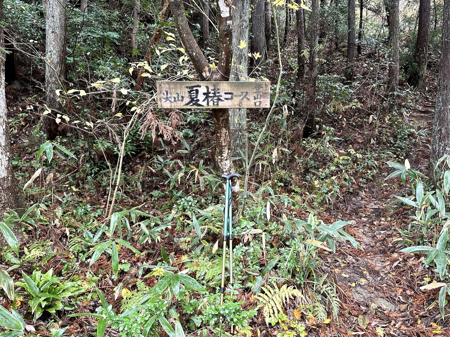 【落とし物のお知らせ】 2024.12... / Ryo ᨒ𖡼.𖤣𖥧さんのモーメント | YAMAP / ヤマップ