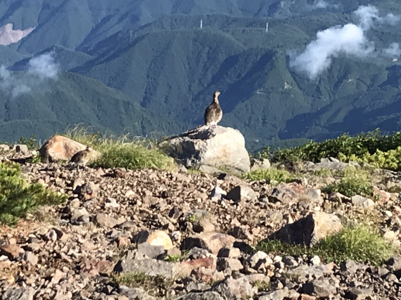 chacoのページ | YAMAP / ヤマップ