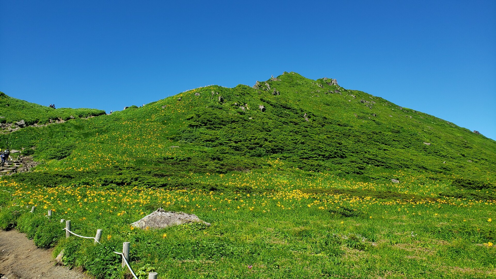 夏だね☀️ あきこまっ‼️ / NatuMounさんの秋田駒ヶ岳・男女岳・貝吹岳の活動データ | YAMAP / ヤマップ
