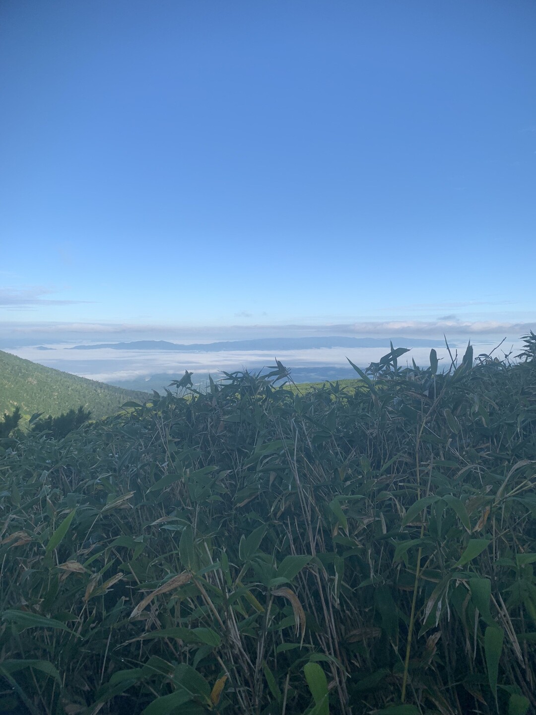 朝5時から富良野岳に登りました！ 1.2... / ni43さんのモーメント | YAMAP / ヤマップ