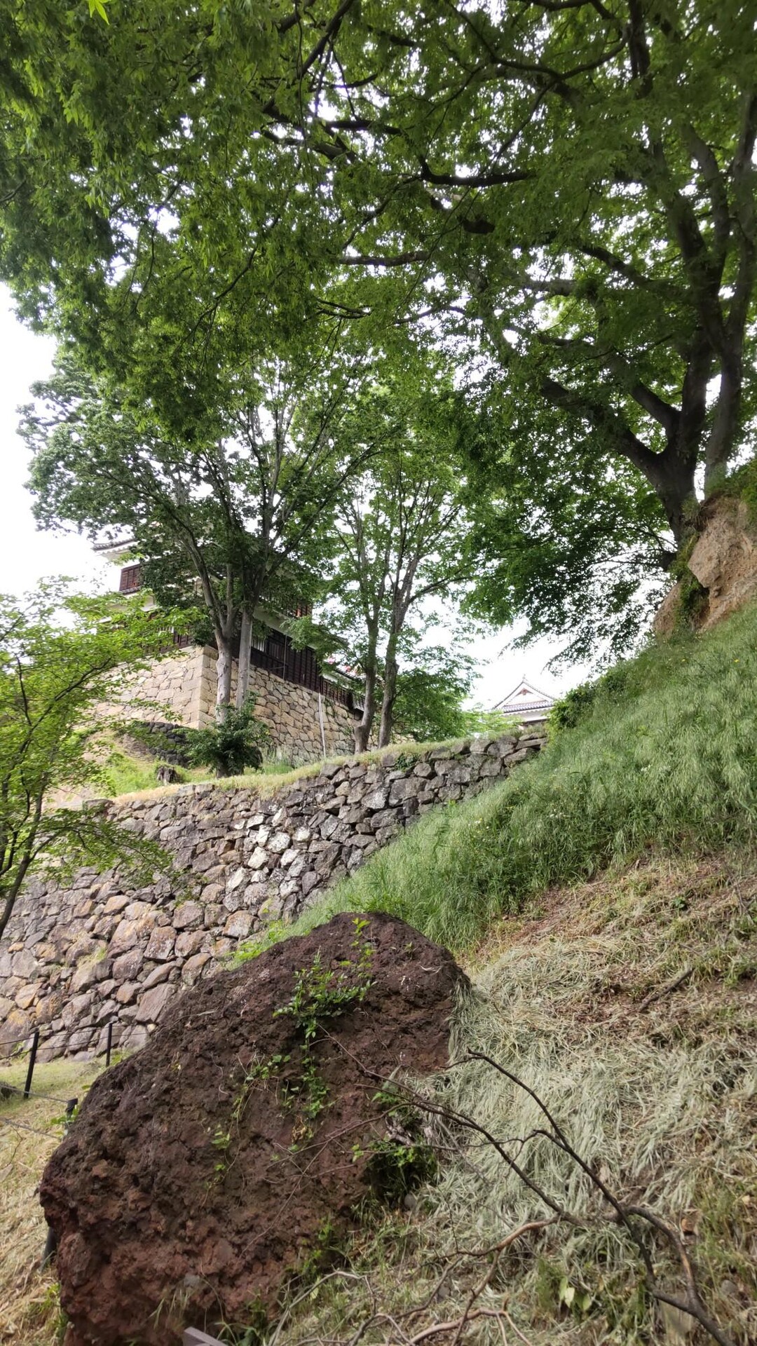 上田城跡 / zen sugiさんの東山の活動データ | YAMAP / ヤマップ