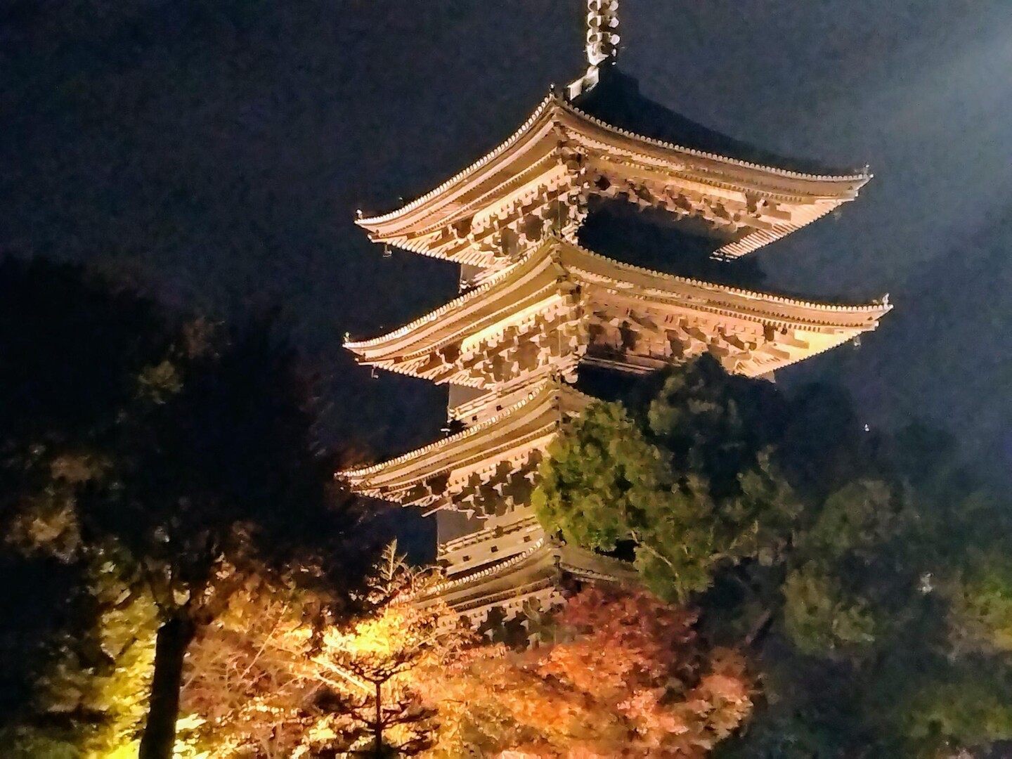 本日の東寺（夜と朝）、稲荷山、今熊野観音... / YT9さんのモーメント | YAMAP / ヤマップ