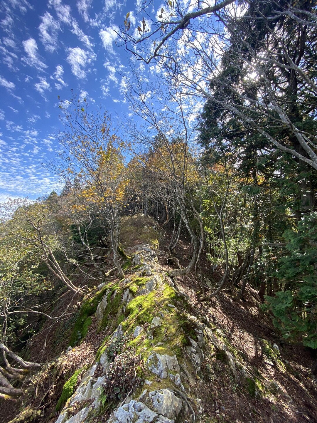 頭巾山 / yanoさんの頭巾山の活動データ | YAMAP / ヤマップ