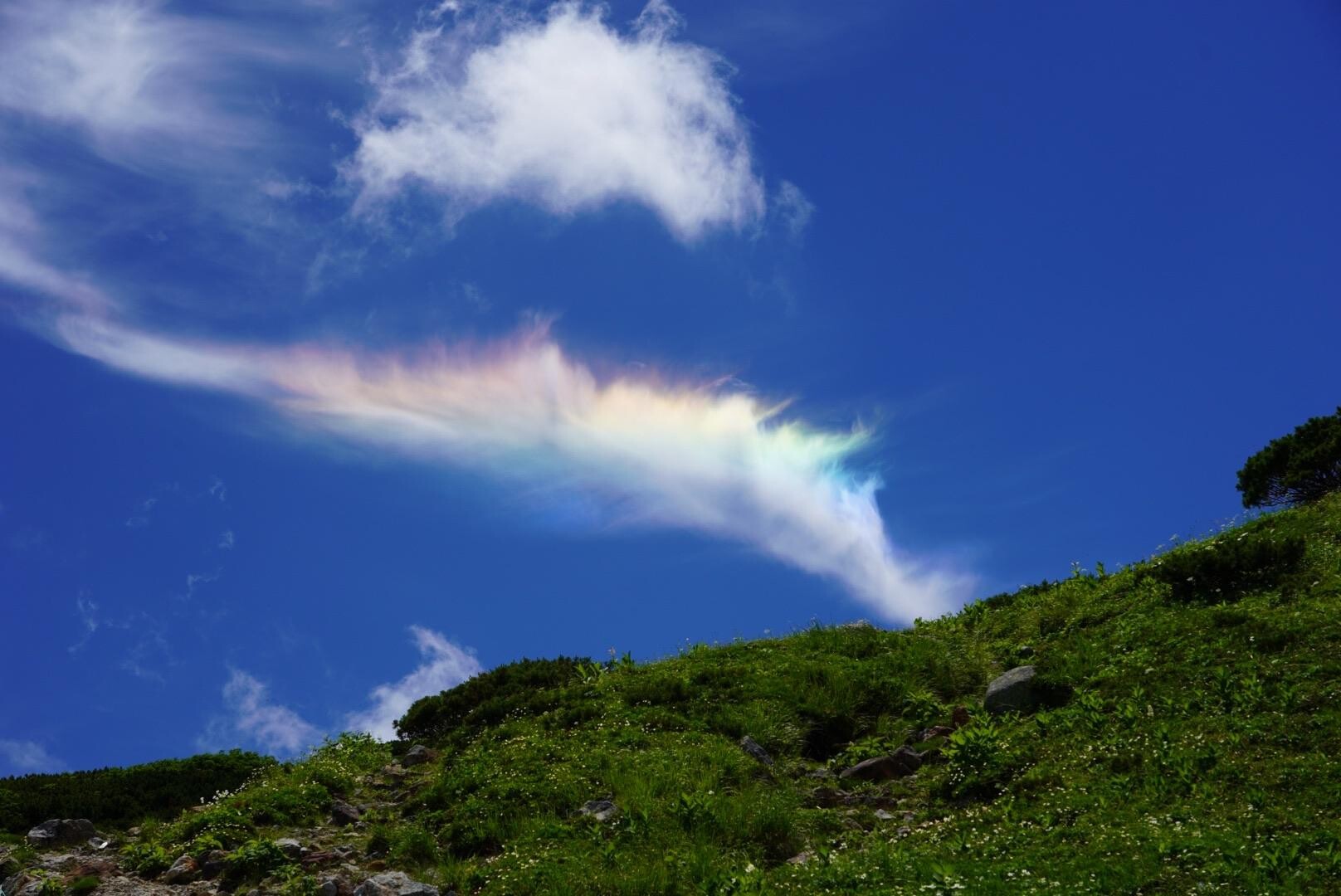 虹色の翼が山から生えてきた🪽 彩雲が見... / Tomy さんのモーメント | YAMAP / ヤマップ