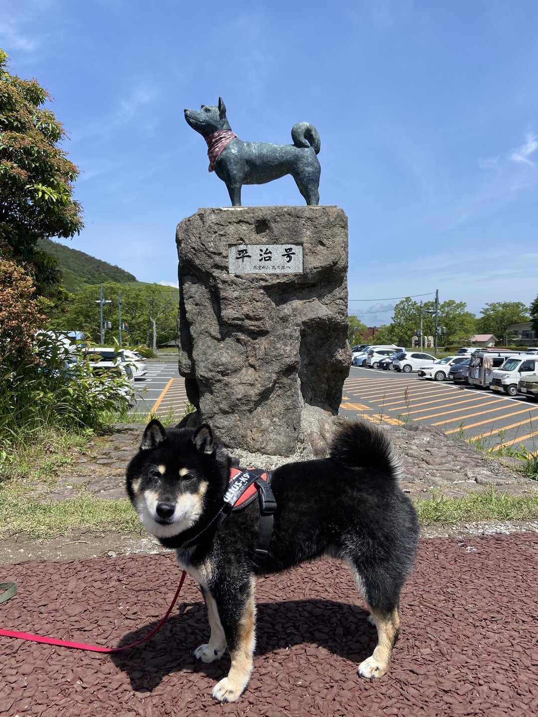 坊がつるNow😆 テントは100張りほ... / クロさんのモーメント | YAMAP / ヤマップ