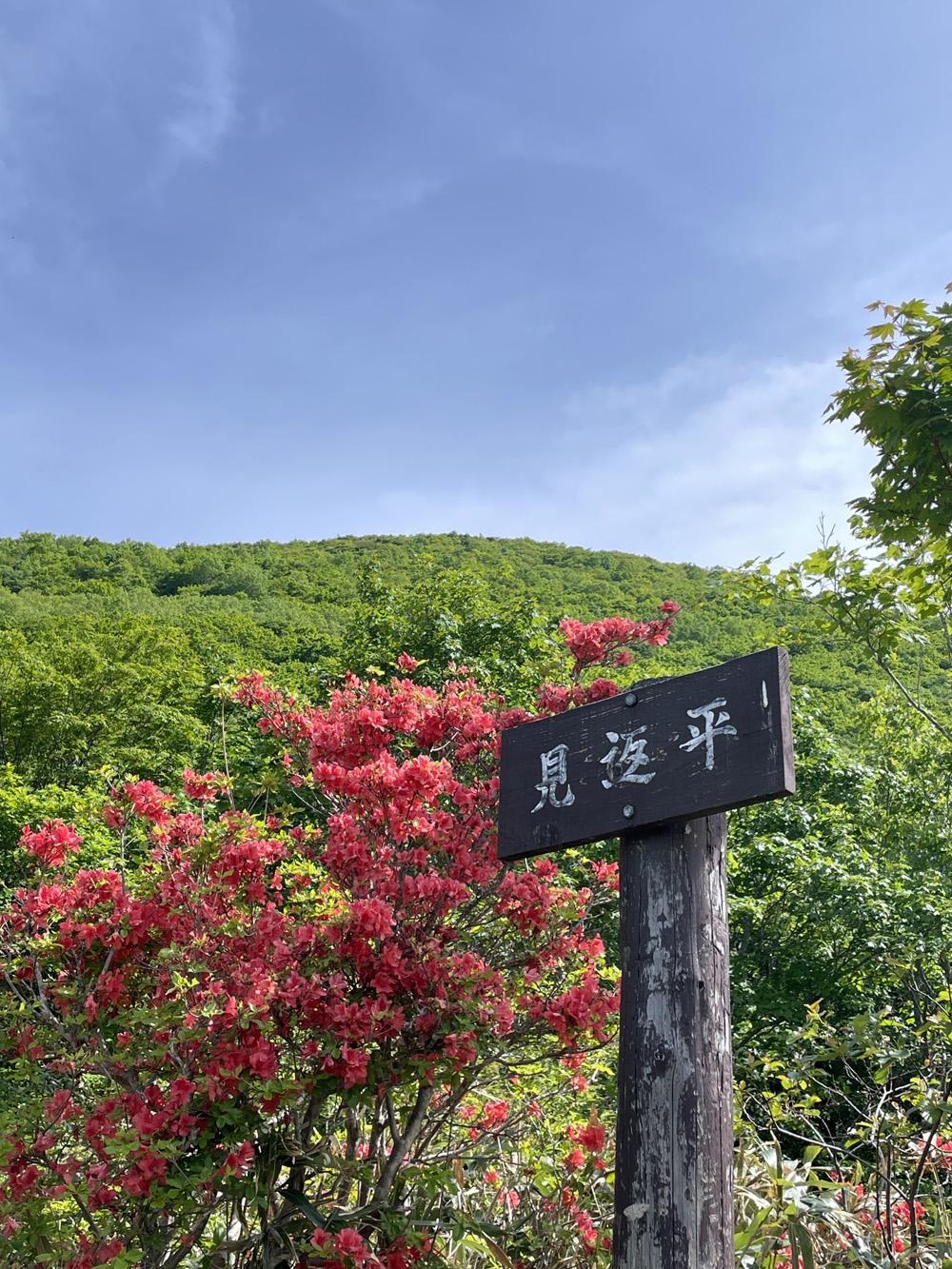 6月の泉ヶ岳へ（滑降コース） / KOHさんの船形山（御所山）・泉ヶ岳・蛇ヶ岳の活動データ | YAMAP / ヤマップ