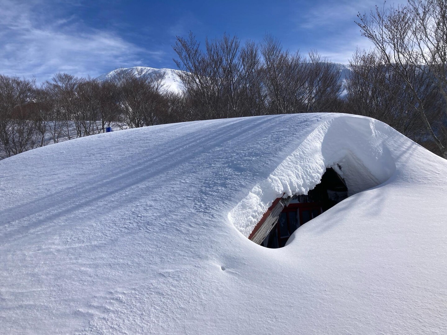 万助小屋まで一ノ坂手前から / わぎっちょRさんの鳥海山・七高山・笙ヶ岳の活動日記 | YAMAP / ヤマップ
