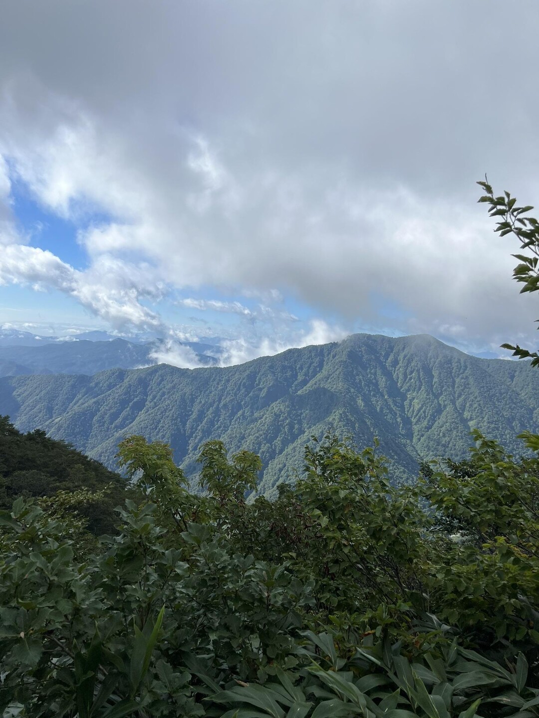 熊穴沢ノ頭・谷川岳（トマの耳）・谷川岳（オキノ耳） / n@tsuさんの谷川岳・七ツ小屋山・大源太山の活動データ | YAMAP / ヤマップ