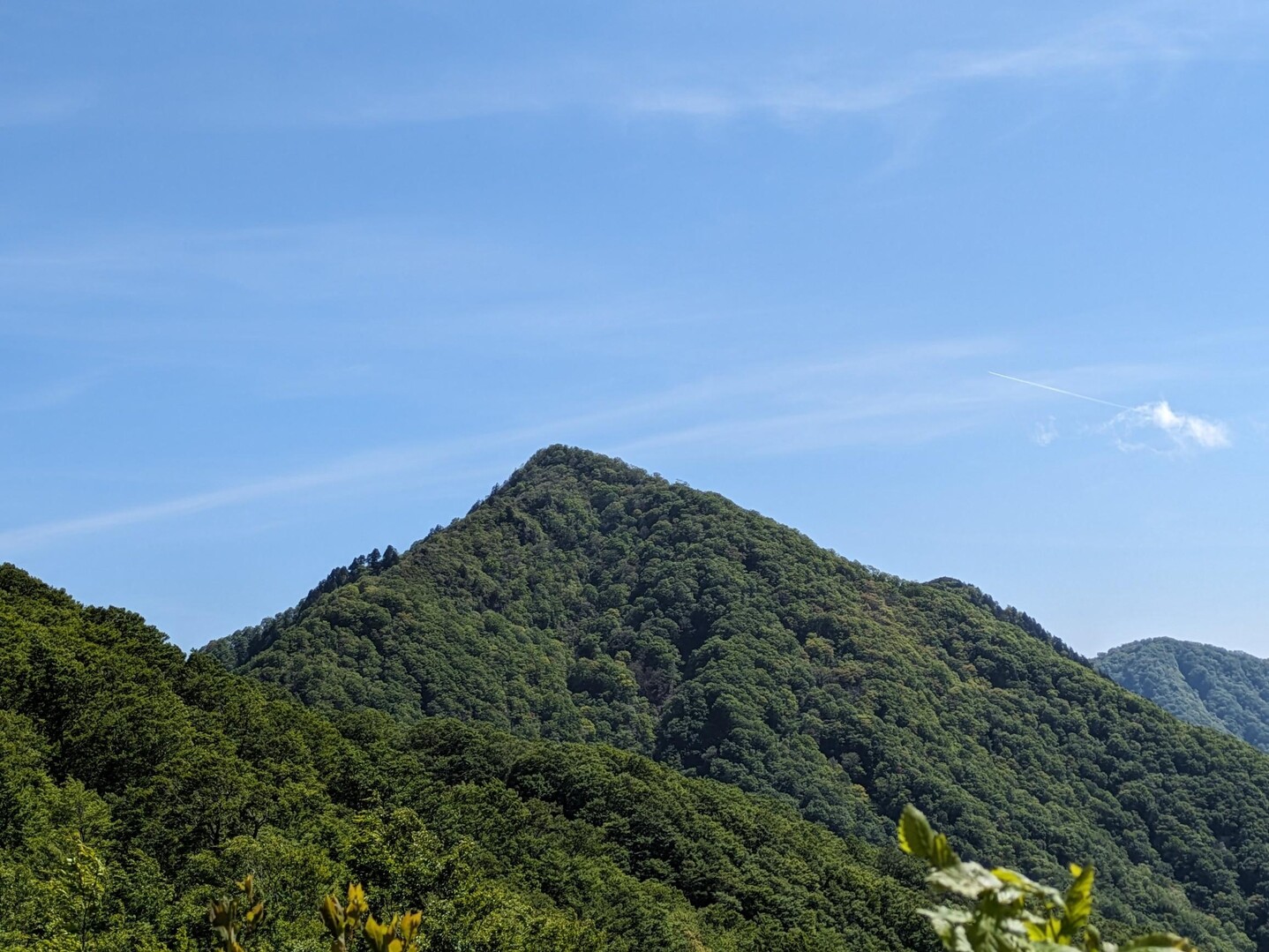 憧れの蕎麦粒山で🐻さんと出会った / こうやさんの湧谷山・蕎麦粒山・五蛇池山の活動データ | YAMAP / ヤマップ