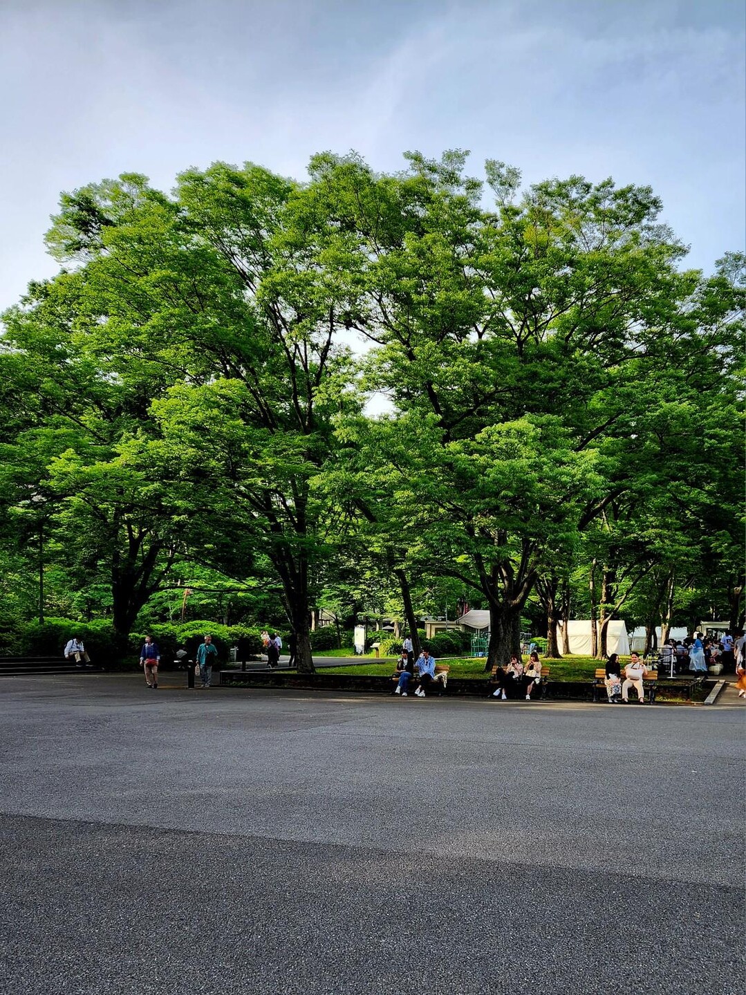 日比谷野外音楽場！ 久々に日比谷公園に来... / 気紛れDAKARAさんのモーメント | YAMAP / ヤマップ