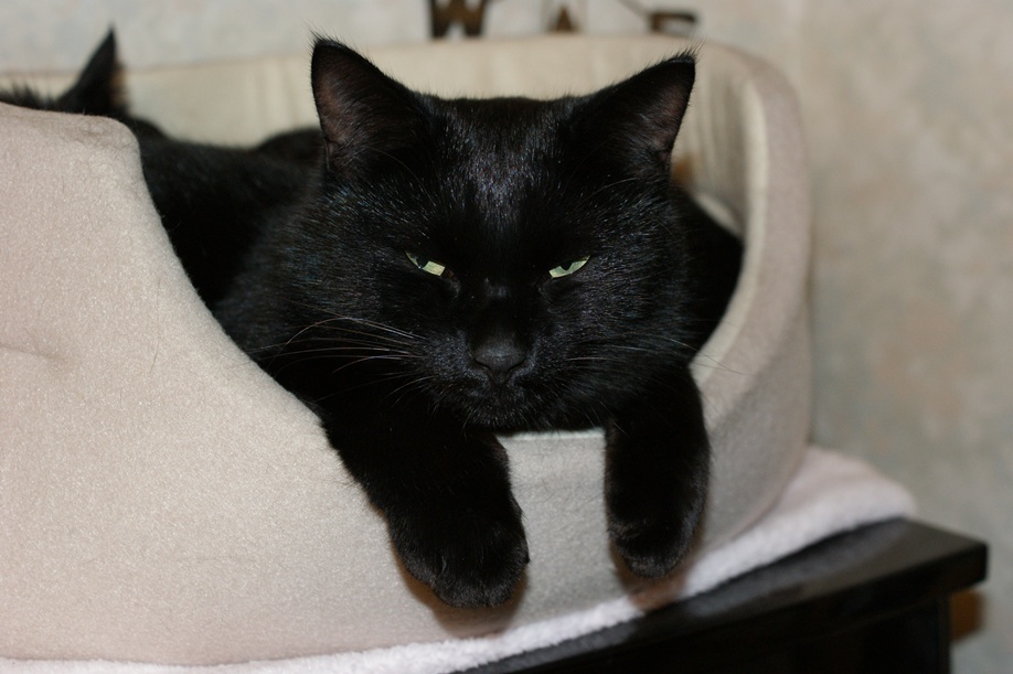 Tomのページ | YAMAP / ヤマップ