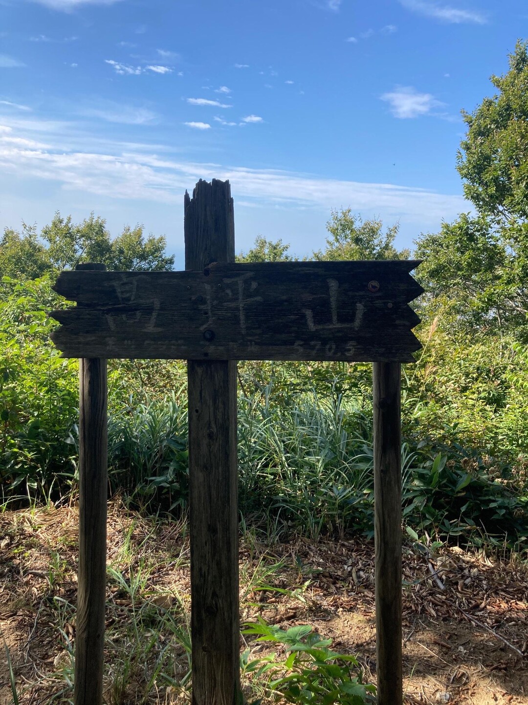 高坪山・虚空蔵峰 / mini98Dさんの高坪山の活動データ | YAMAP / ヤマップ