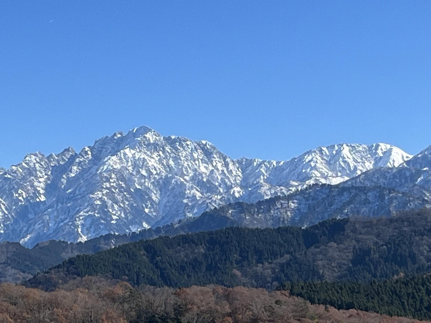 城ヶ平とKING金龍セット山🤪 / kikuさんの城ヶ平山・ハゲ山・峠山の活動データ | YAMAP / ヤマップ