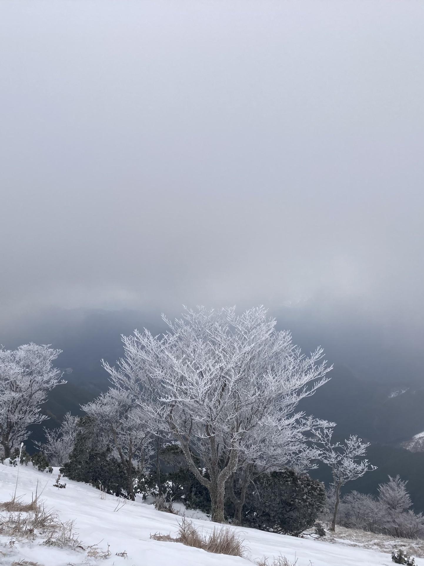 三峰山 / mt.take4さんの登山の活動データ | YAMAP / ヤマップ