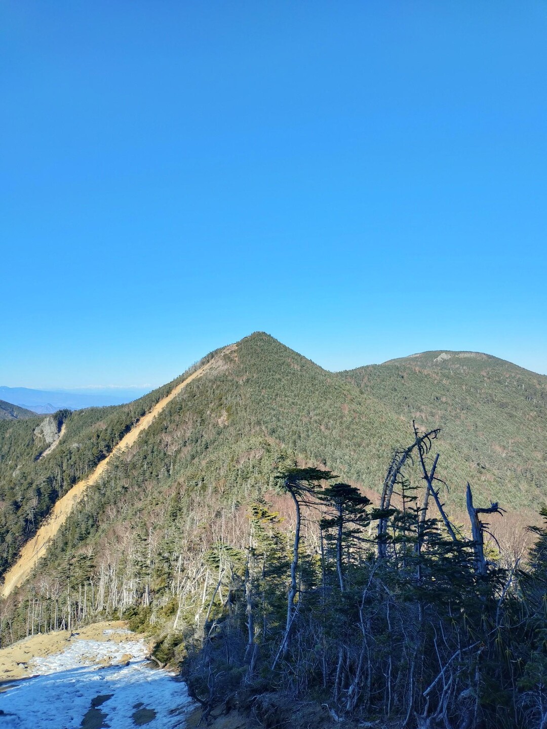 木賊山・甲武信ヶ岳 / tommyさんの甲武信ヶ岳の活動データ | YAMAP / ヤマップ