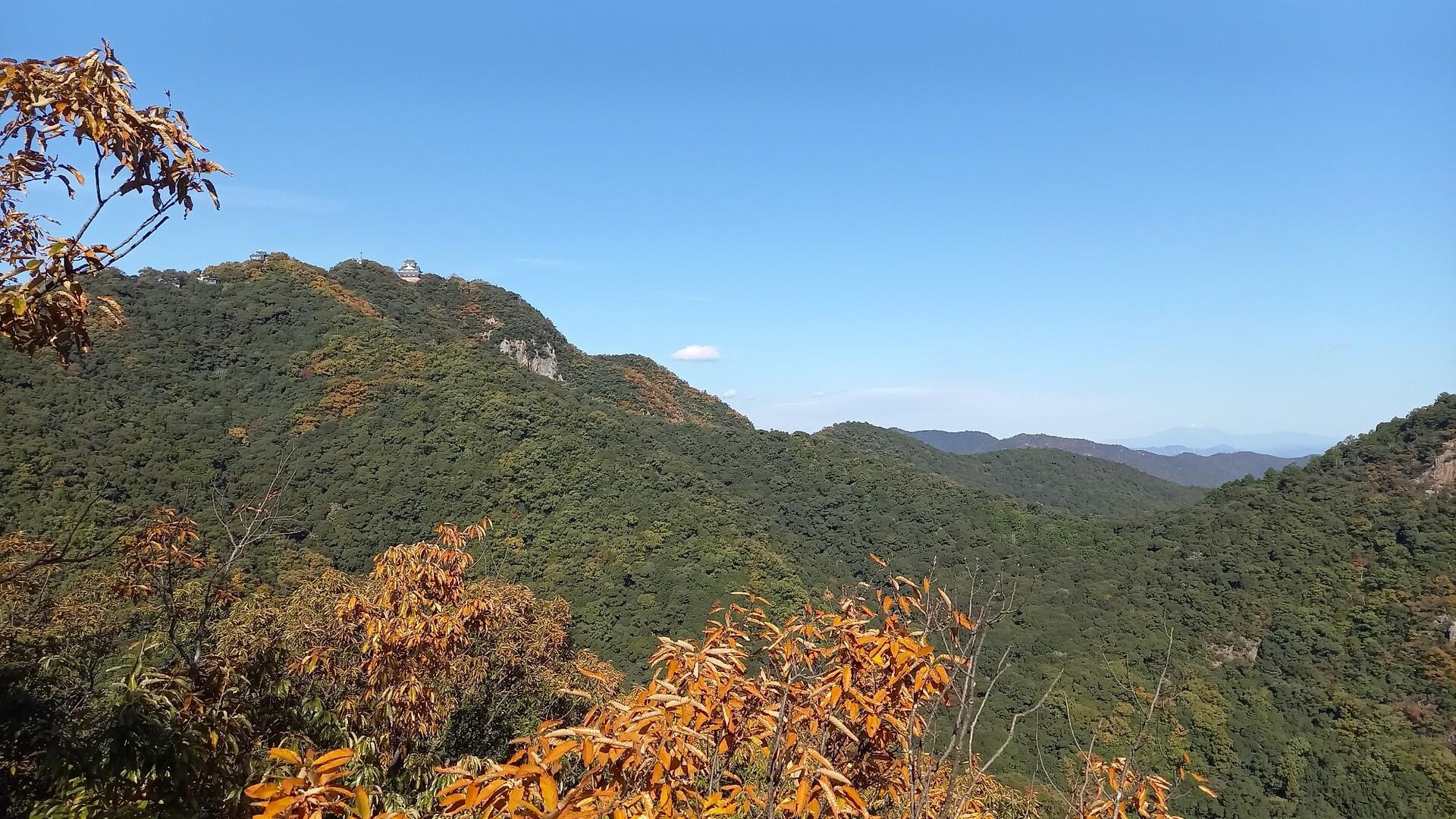 兎走山・舟伏山・西山・金華山・岩戸山・鷹巣山・洞山・野一色権現山・三峰山 / むらっきーさんの金華山・洞山・舟伏山の活動データ | YAMAP / ヤマップ