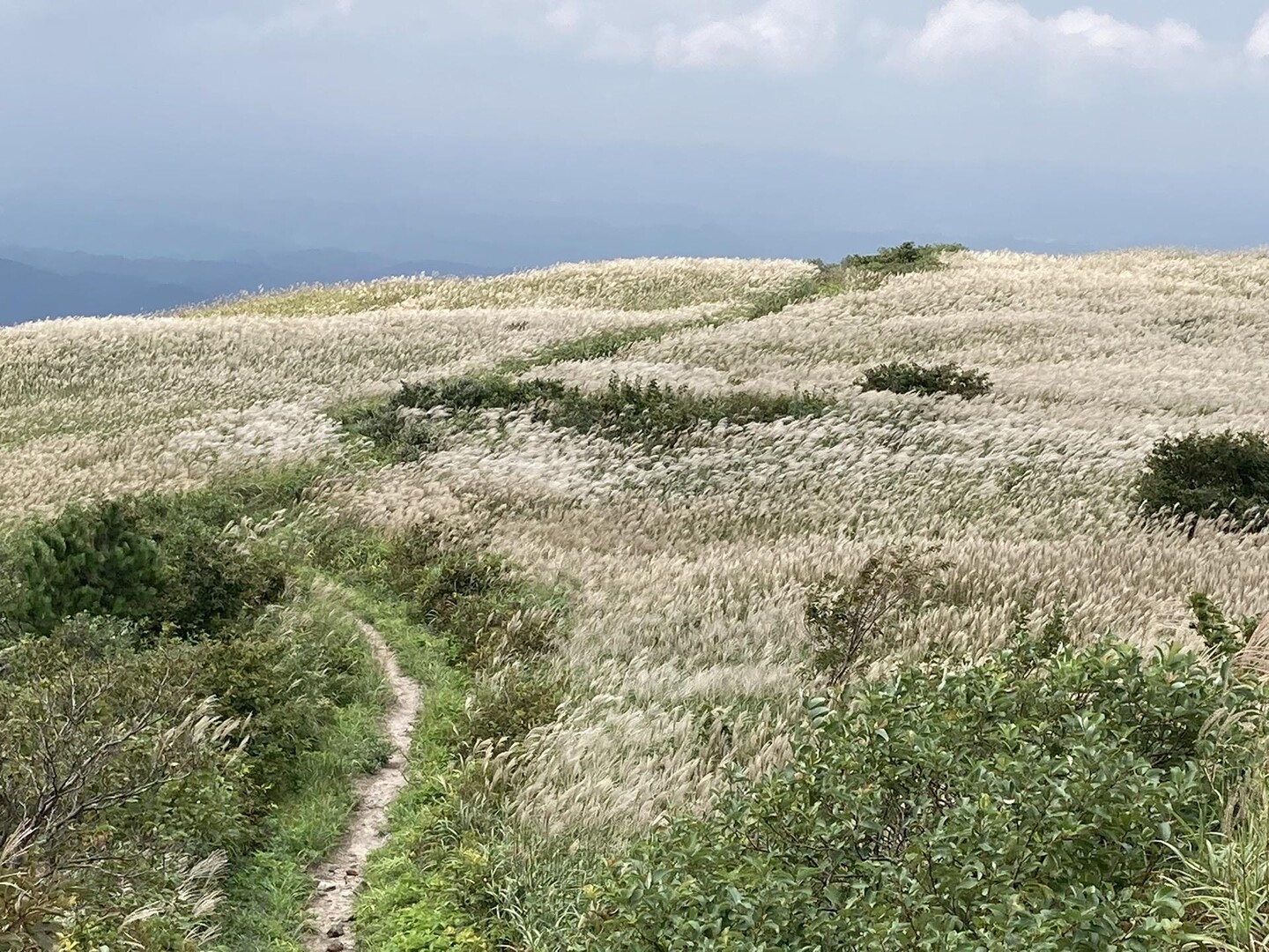 男三瓶山(三瓶山) / snor_manさんの三瓶山・大平山の活動データ | YAMAP / ヤマップ