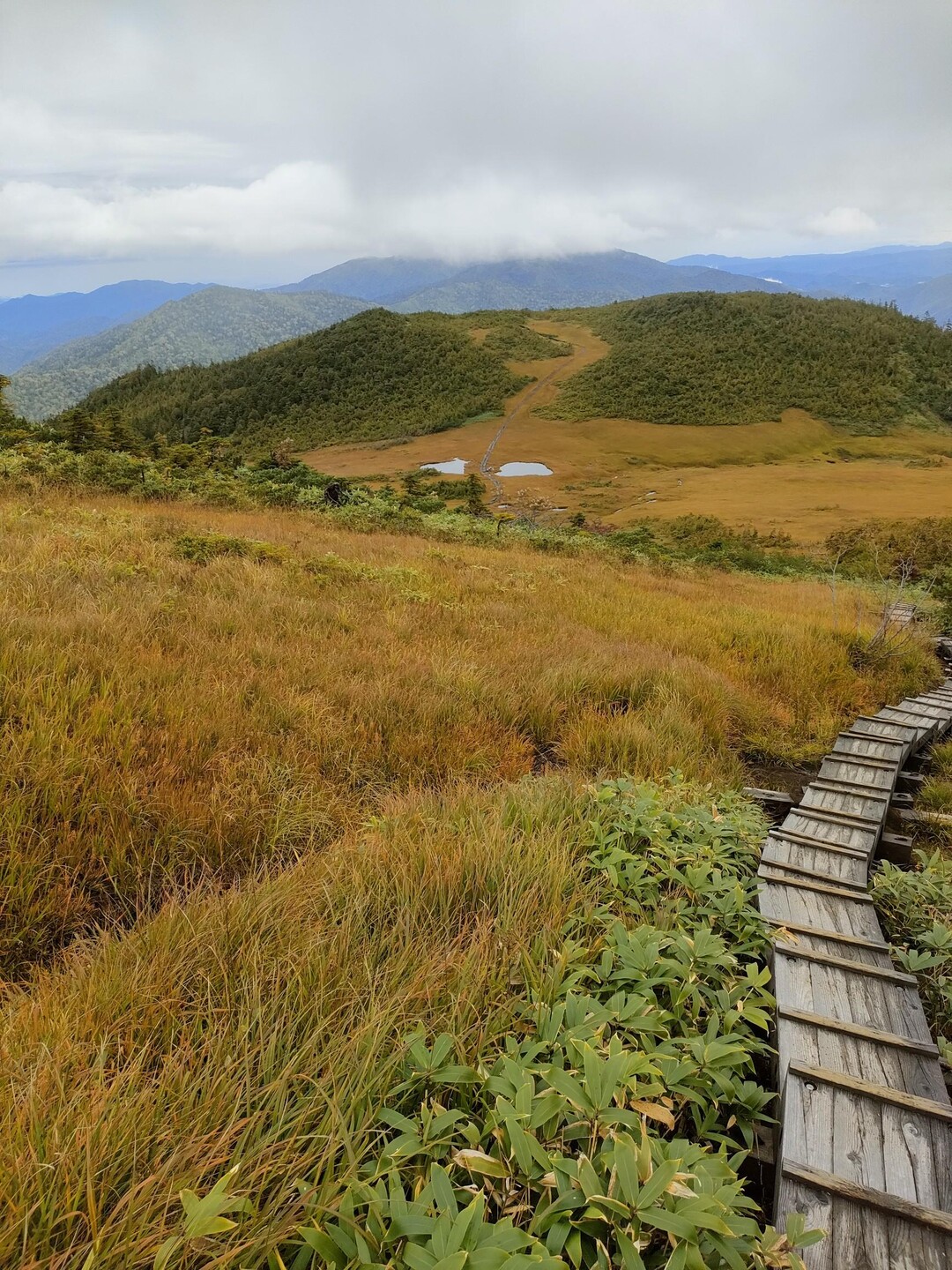 セルフ拷問!燧ヶ岳.俎嵓 / ukeyさんの尾瀬・燧ヶ岳の活動データ | YAMAP / ヤマップ