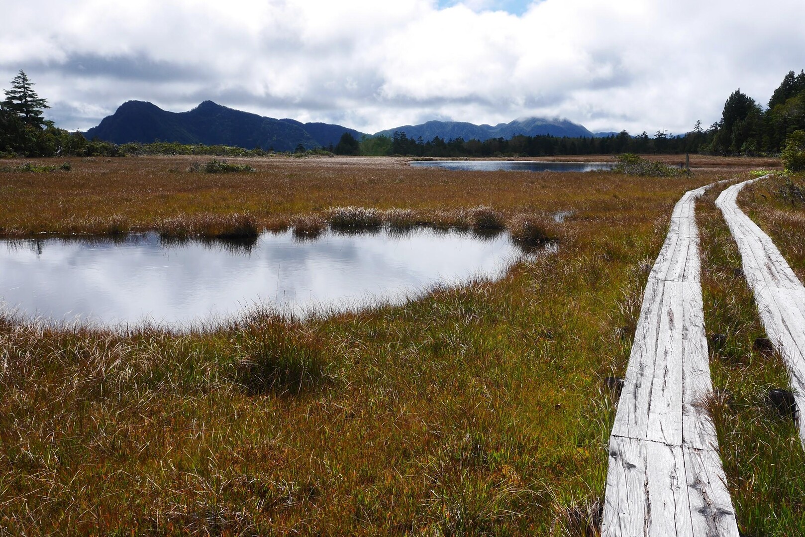 奥日光／鬼怒沼山 / Hikoさんの鬼怒沼山・物見山・黒岩山の活動データ | YAMAP / ヤマップ