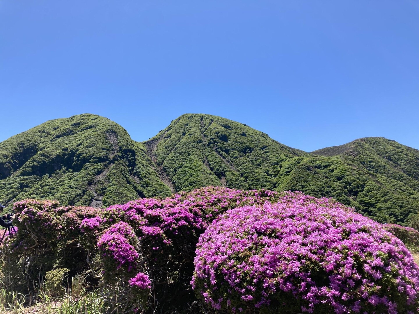 指山 / チャボ1960さんの九重山（久住山）・大船山・星生山の活動データ | YAMAP / ヤマップ