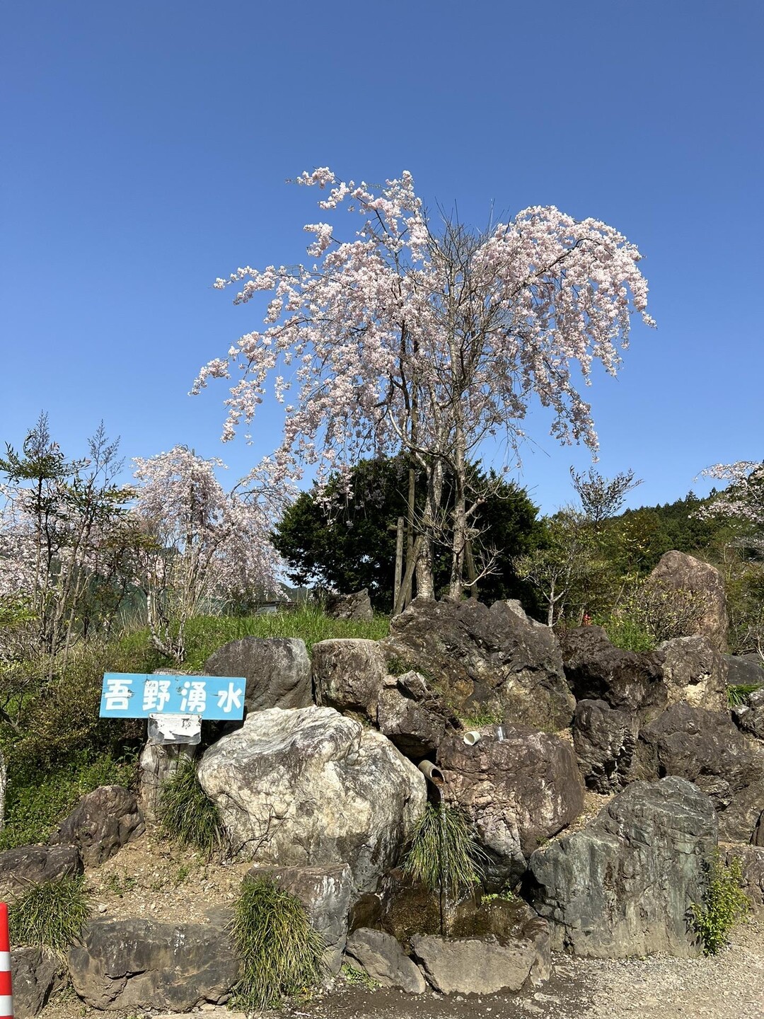 奥武蔵35k前半試走 / Odanicoさんの天覧山・多峯主山・天覚山の活動データ | YAMAP / ヤマップ