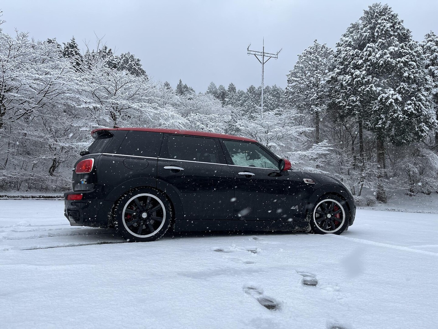 雪遊び🐶🐶 箱根は雪☃️‼️ / F54JCWさんのモーメント | YAMAP / ヤマップ