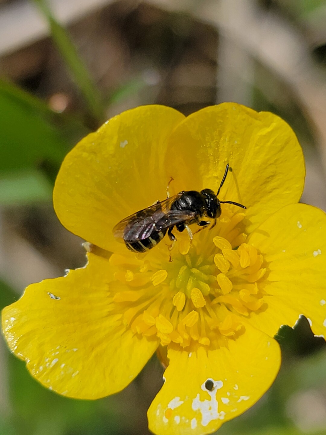 chhのページ | YAMAP / ヤマップ