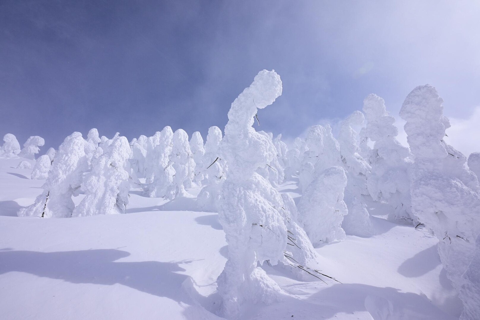 西大巓・西吾妻山 / MJさんの吾妻山・一切経山の活動データ | YAMAP / ヤマップ