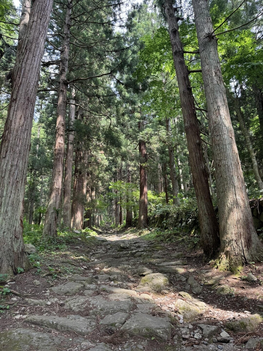 小菅神社奥社 / yumikoさんの毛無山の活動データ | YAMAP / ヤマップ