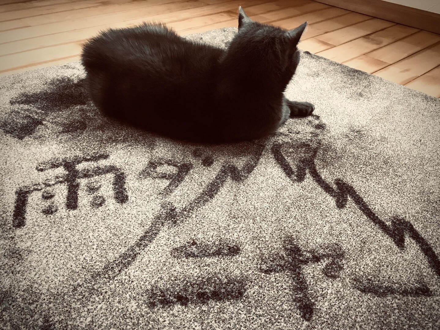 2022.11.26(土) 00:01 / banzsさんのモーメント | YAMAP / ヤマップ