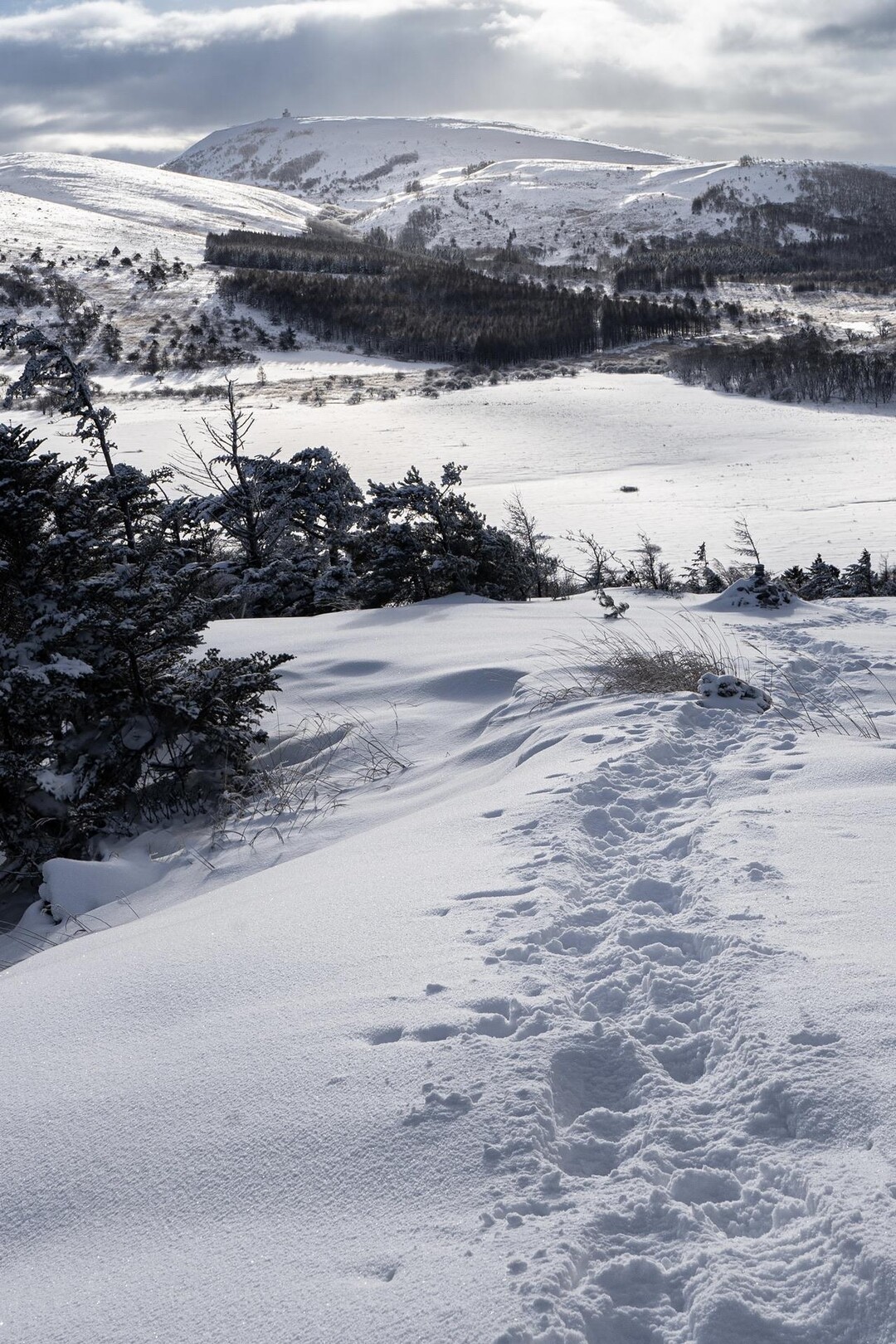 「My trace」 早朝のトレースが... / たなけんさんのモーメント | YAMAP / ヤマップ