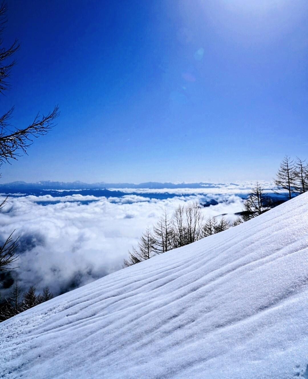 恵那山は雪山でした / yanagingさんの恵那山・大判山・神坂山の活動データ | YAMAP / ヤマップ