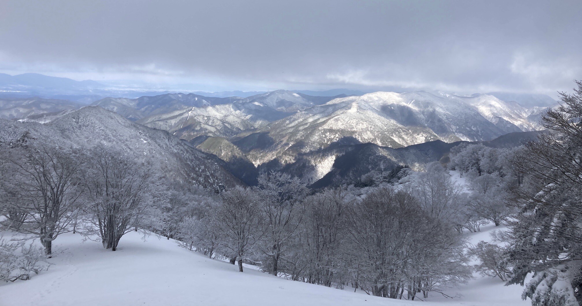 天女の頂 / penta360さんの八経ヶ岳の活動データ | YAMAP / ヤマップ