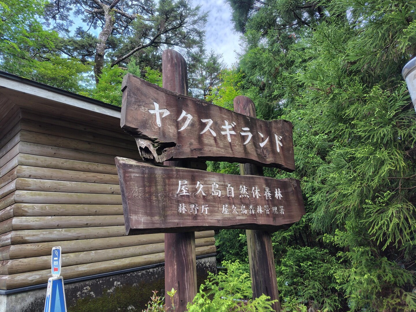 屋久島 ヤクスギランド / Kiyoshiさんの屋久島・宮之浦岳の活動データ | YAMAP / ヤマップ