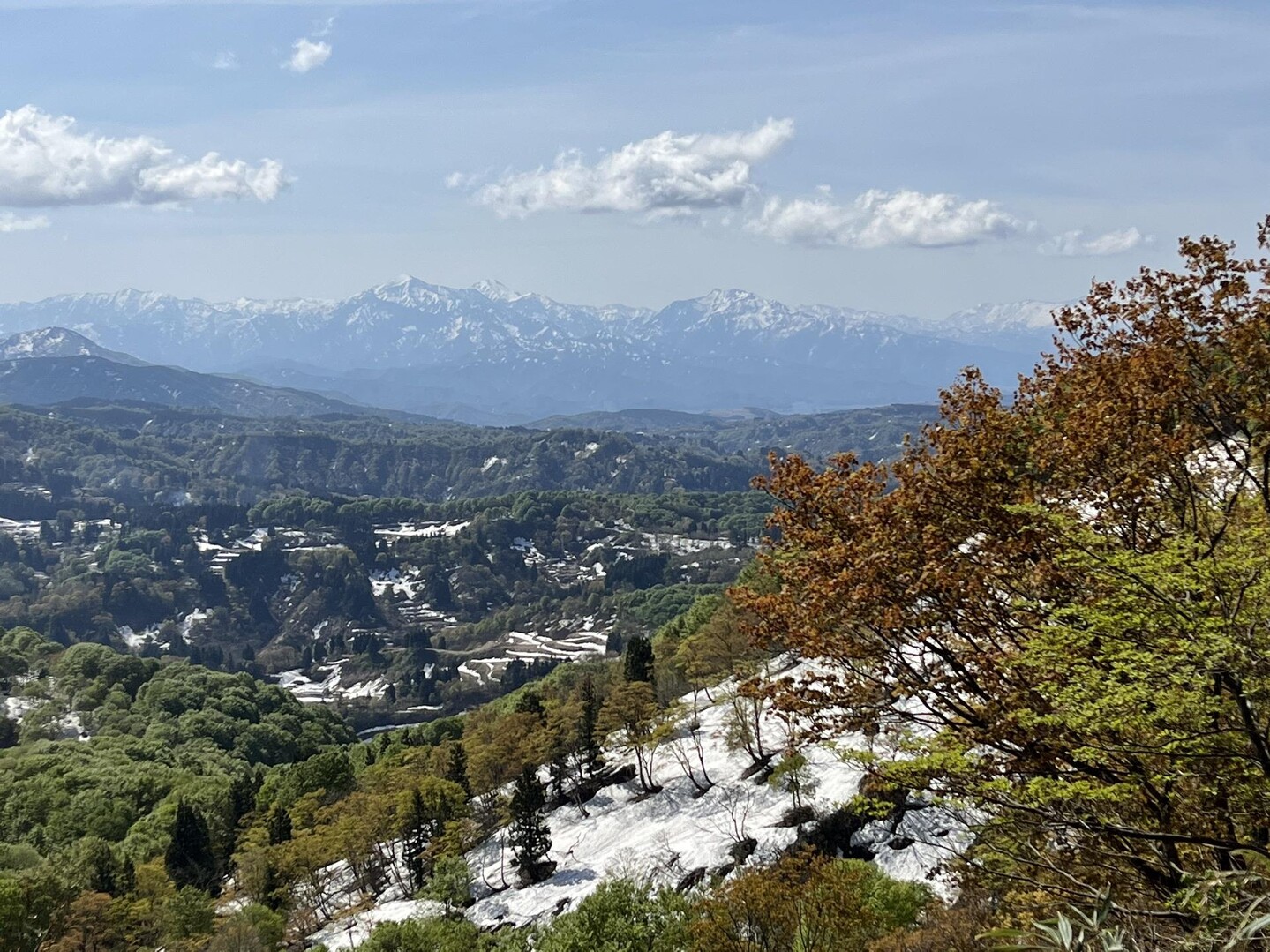鋸山 / tamu.kさんの鋸山・三ノ峠山・八方台の活動データ | YAMAP / ヤマップ