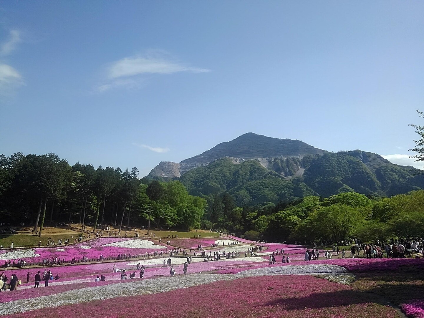 武甲山 / micoさんの武甲山・伊豆ヶ岳・小持山の活動データ | YAMAP / ヤマップ