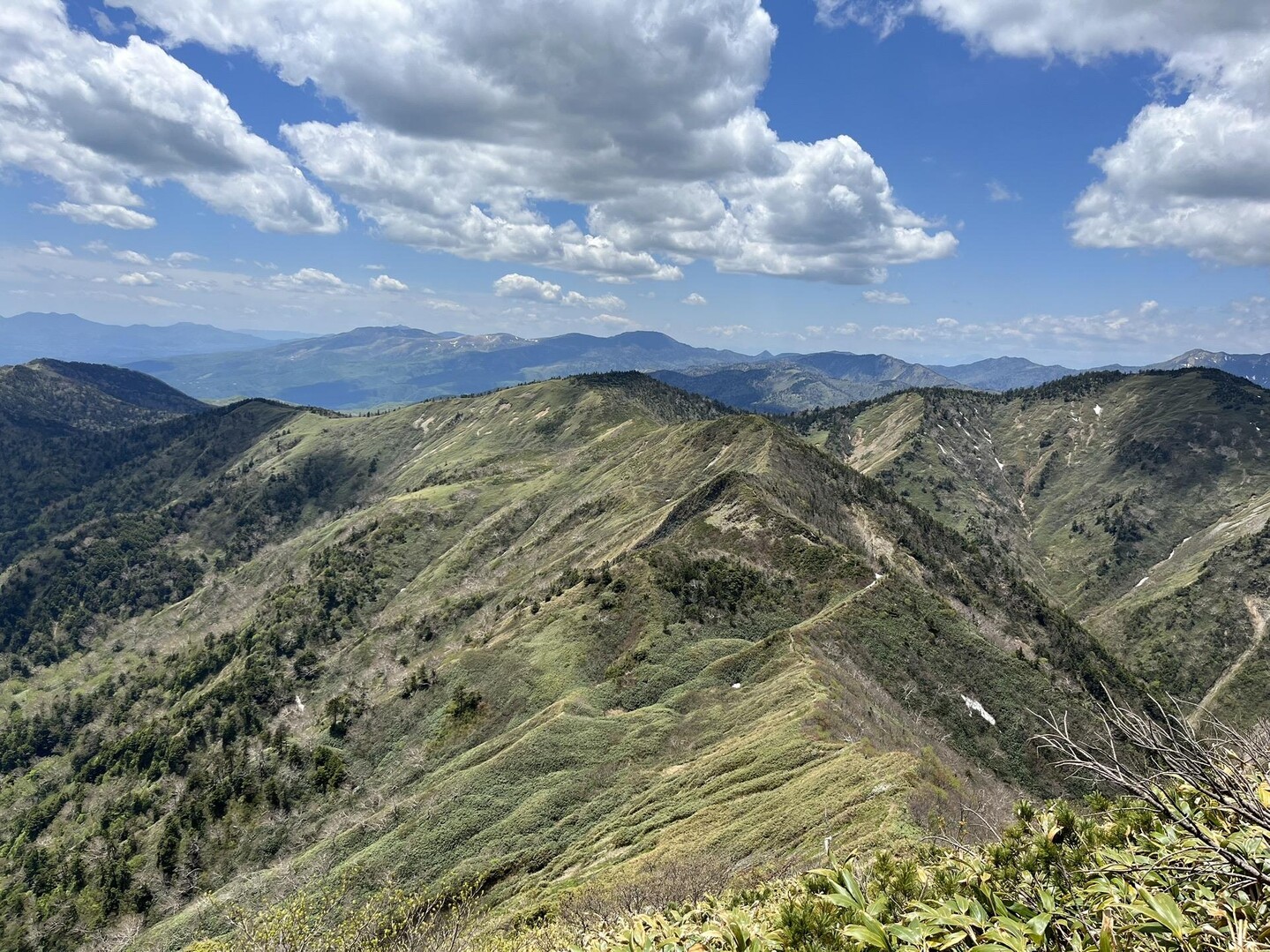 白砂山 / Yumiさんの白砂山・堂岩山・八間山の活動データ | YAMAP / ヤマップ