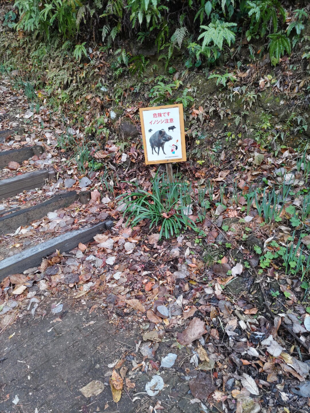 琴平岳スカイパークの999段 / S.nekoさんの虚空蔵山・鎌倉山・普賢岳の活動データ | YAMAP / ヤマップ