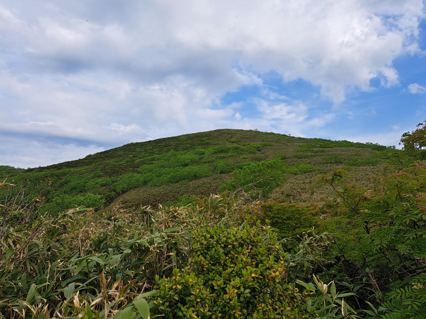 当丸山_両古美山_無沢1 / nomさんの積丹半島南部の活動データ | YAMAP / ヤマップ